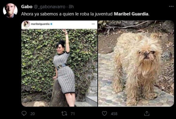 Twitter: los memes de Maribel Guardia y su perro