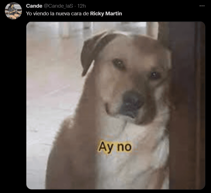 Los mejores y más divertidos memes por el nuevo rostro de Ricky Martin ...