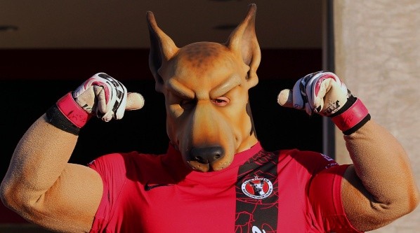 Las mascotas de los equipos de Primera División de la liga mexicana