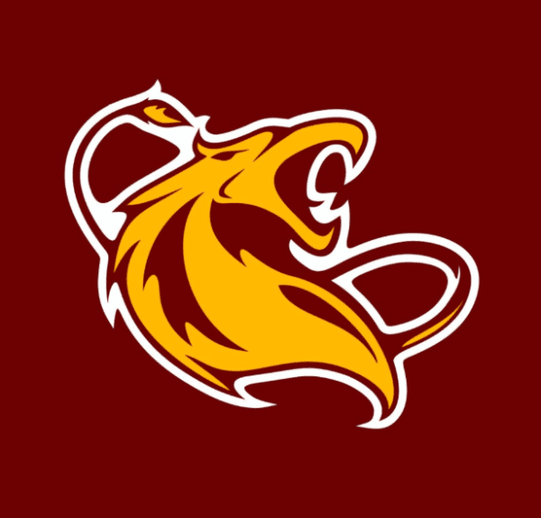 Las diez mejores opciones para reemplazar el logo de los Redskins | Bolavip