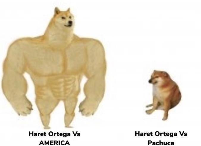 Liga MX: Los memes destruyen a Toluca tras la vergüenza contra Pachuca ...